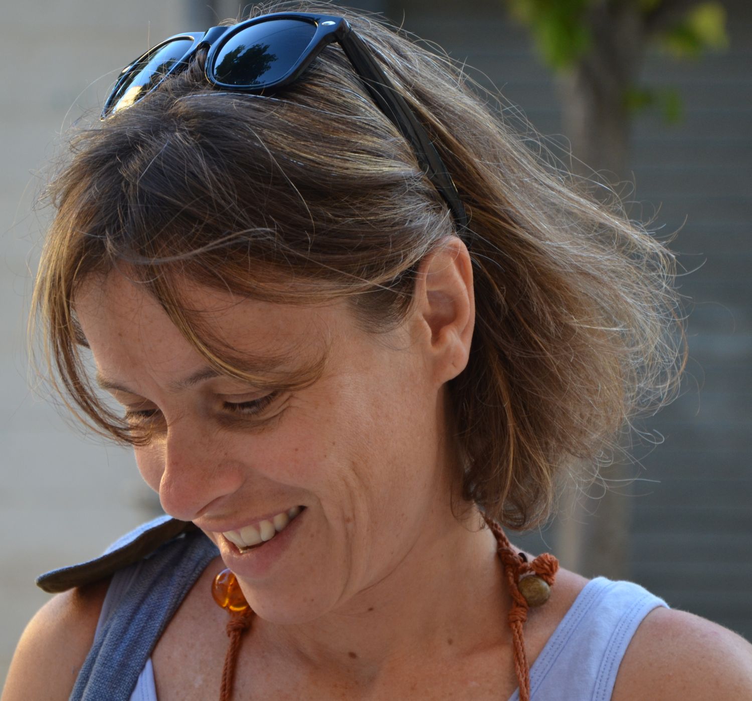 Lecturers - Plasmonica International School on Plasmonics and Nano-optics